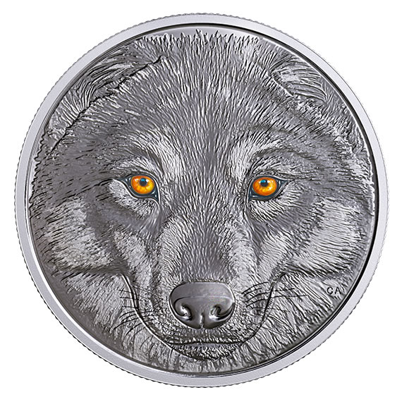 Canadian 2017 Wolf Coin Features Glow-in-the-Dark Eyes | CoinNews